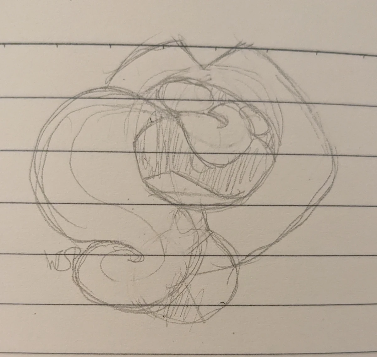 Stella | Multiverse of Disassembly Wiki | Fandom