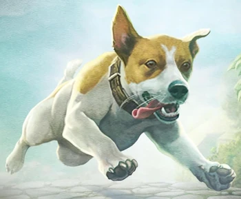 Primo (dog) | Murder in the Alps Wiki | Fandom