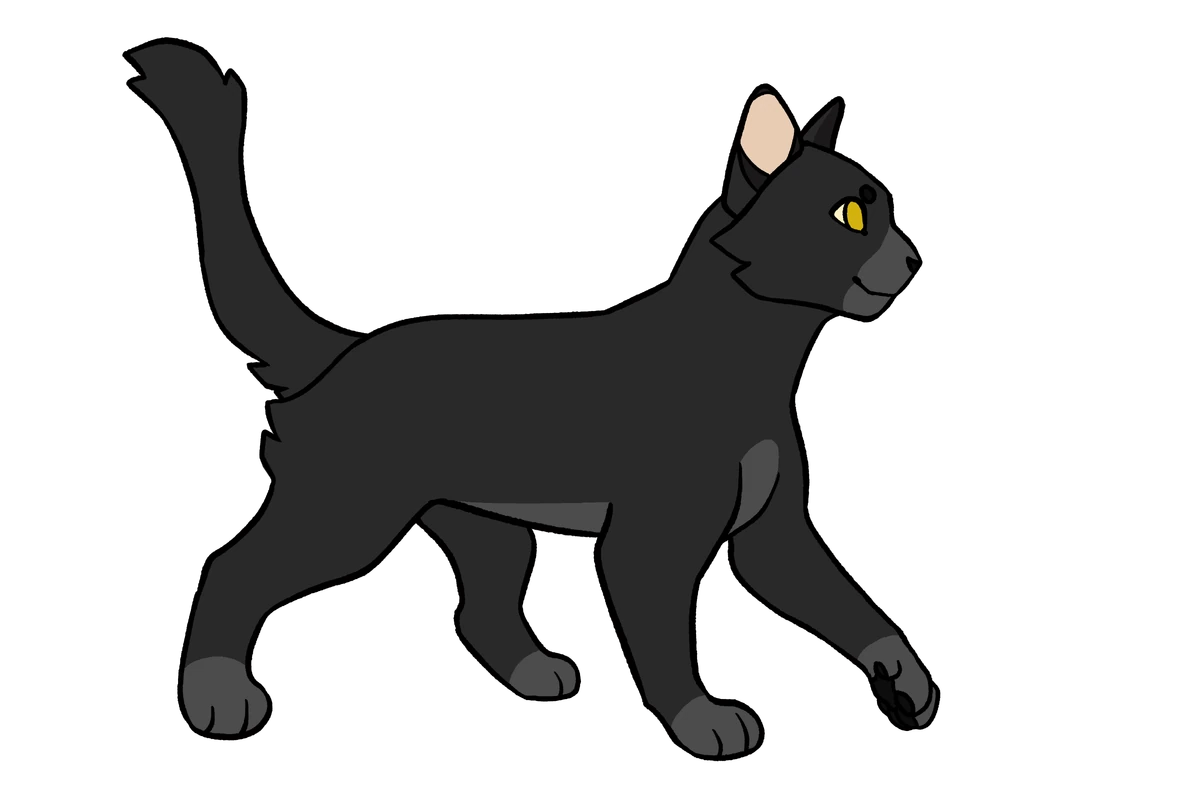 Hawkwing | Warriors Wiki | Fandom