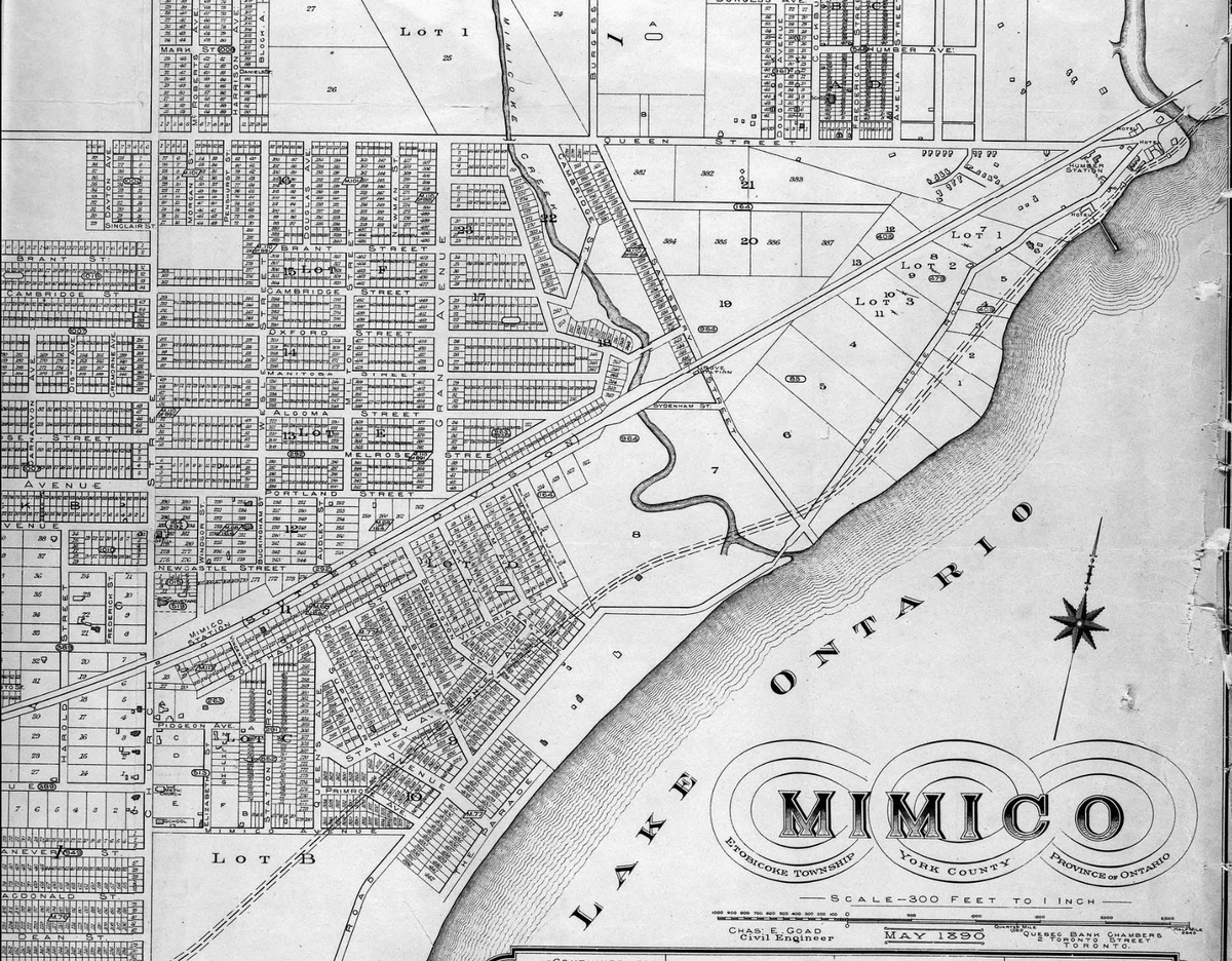 Mimico | Murdoch Mysteries Wiki | Fandom