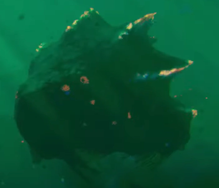 Lava Leviathan | Murky Divers Wiki | Fandom