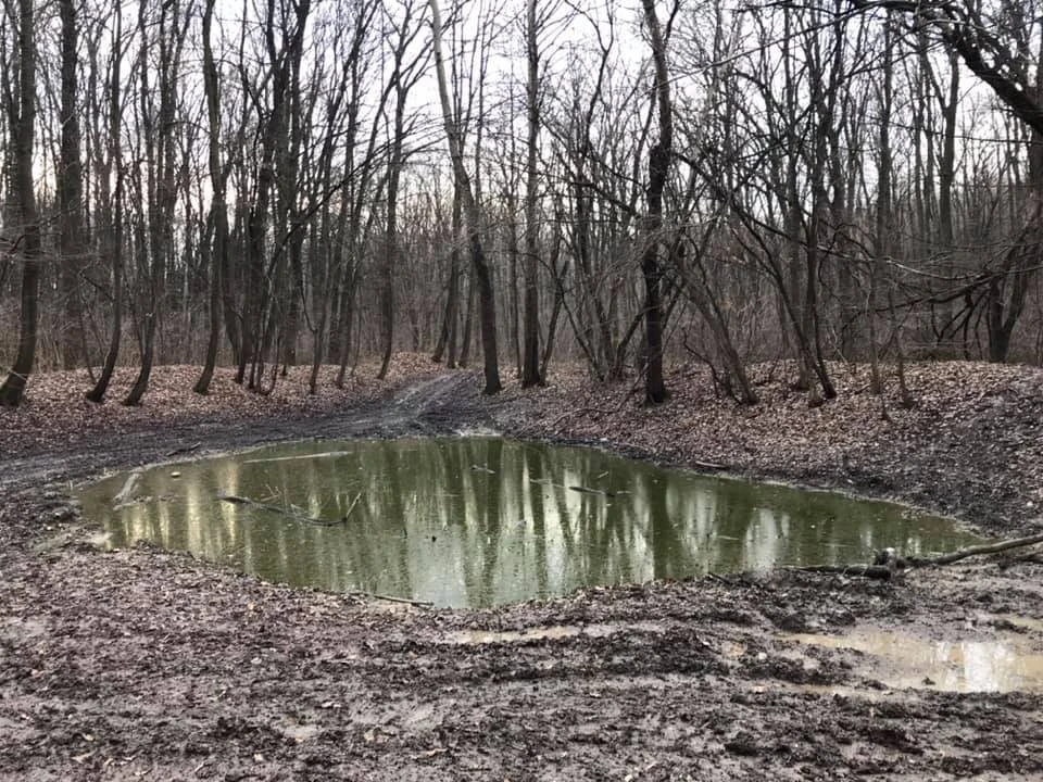 Witches Pond | Murphy Wiki | Fandom