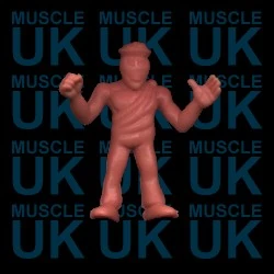 43 | MUSCLEpedia | Fandom