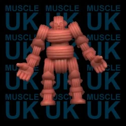 95 | MUSCLEpedia | Fandom