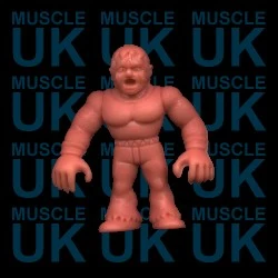 29 | MUSCLEpedia | Fandom