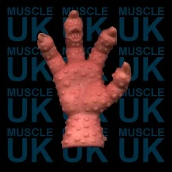 153 | MUSCLEpedia | Fandom