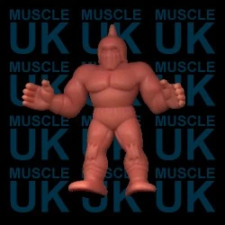 14 | MUSCLEpedia | Fandom