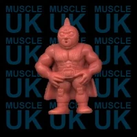 1 | MUSCLEpedia | Fandom