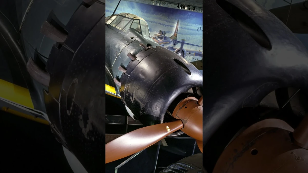 Ohka's Madness | Museum Girls Wiki | Fandom