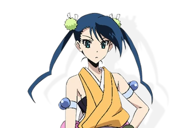 ooka echizen no kami 忠相