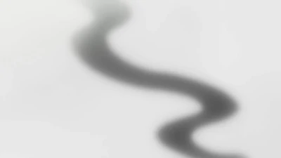 Kagedama | Mushishi Wiki | Fandom