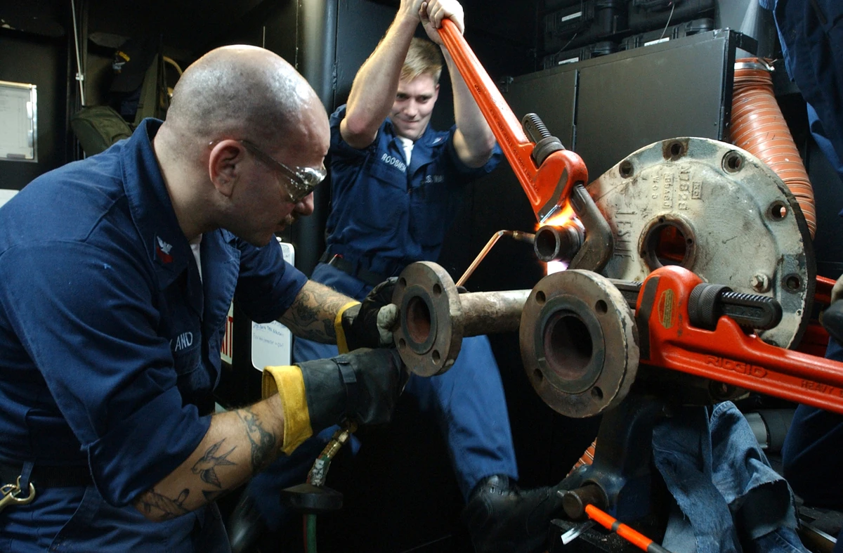 Wiki Maintenance | Mushroom City Car Wash Wiki | Fandom