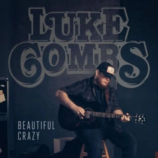 Beautiful Crazy | Music Hub | Fandom