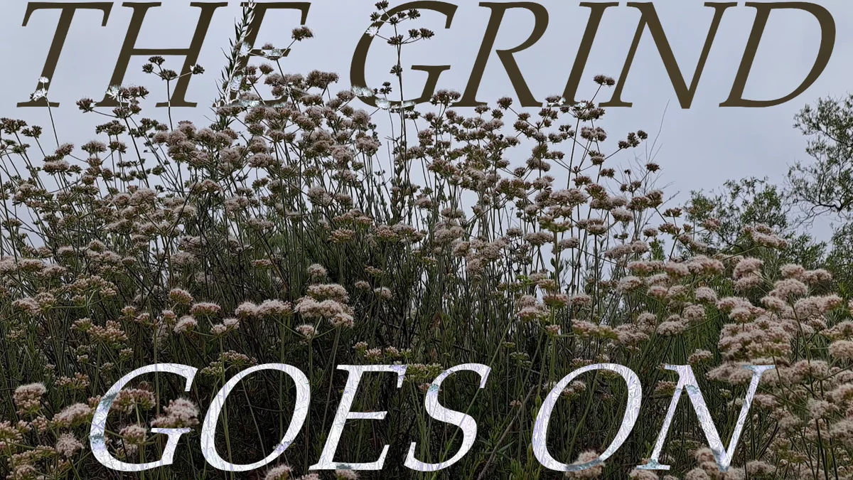 THE GRIND GOES ON (song) | Music Hub | Fandom
