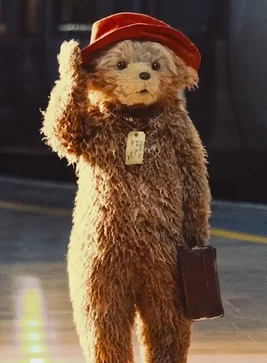 Paddington Bear | Paddington: The Musical Wiki | Fandom