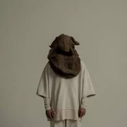 NF | Musicians Wiki | Fandom