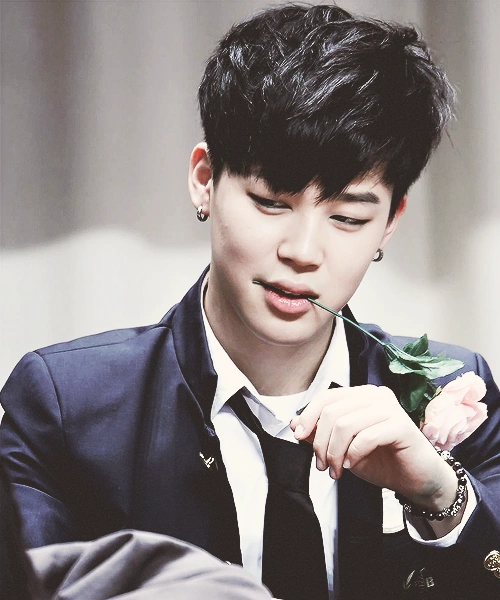 Jimin | Wikia Music-Idol | Fandom