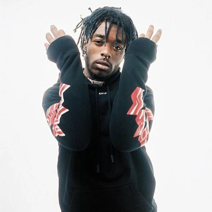 Lil Uzi Vert discography | Music Playlist Wiki | Fandom