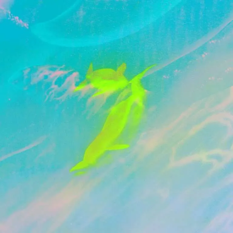 Lucifèrine | The Music Referendum Wiki | Fandom