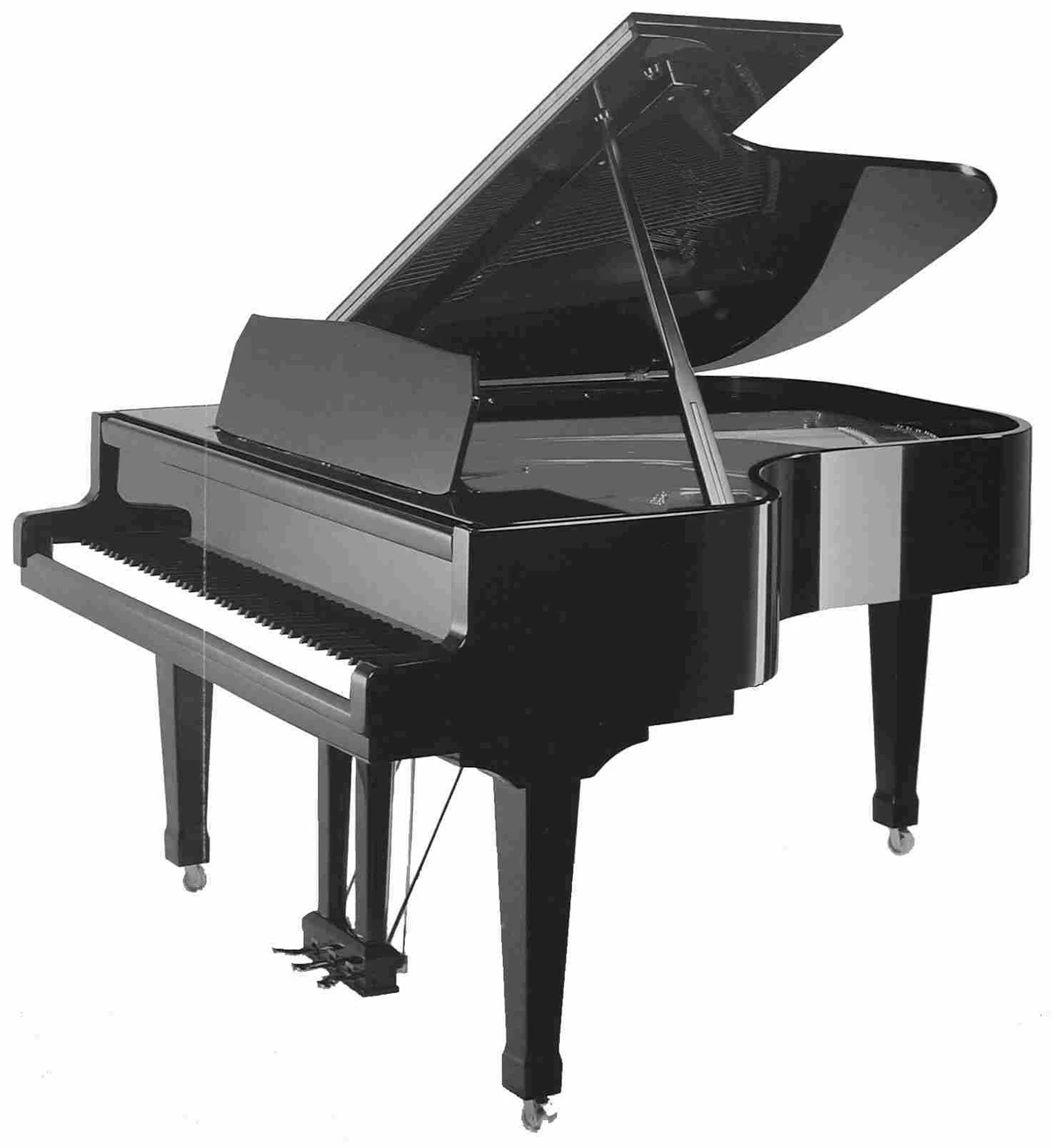 Catégorie:Cordes Frappées | Wiki Musique | Fandom