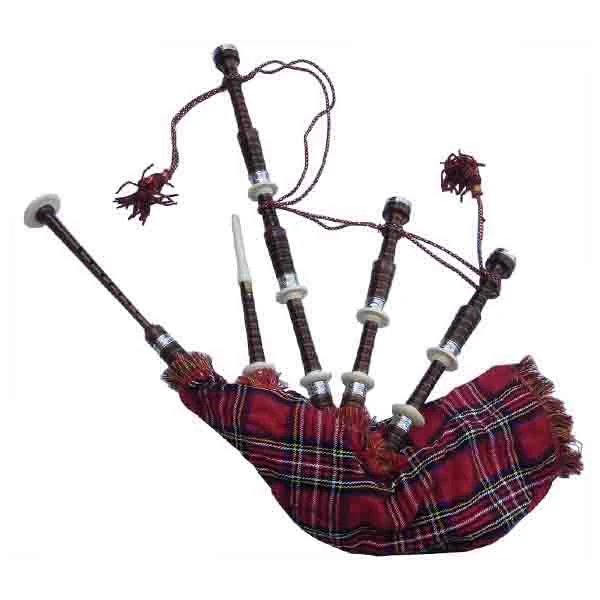 Cornemuse | Wiki Musique | Fandom