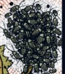 Roaches | MFKZ Wiki Page Wiki | Fandom