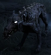 Zone Dog | Mutant Year Zero: Road to Eden Wiki | Fandom