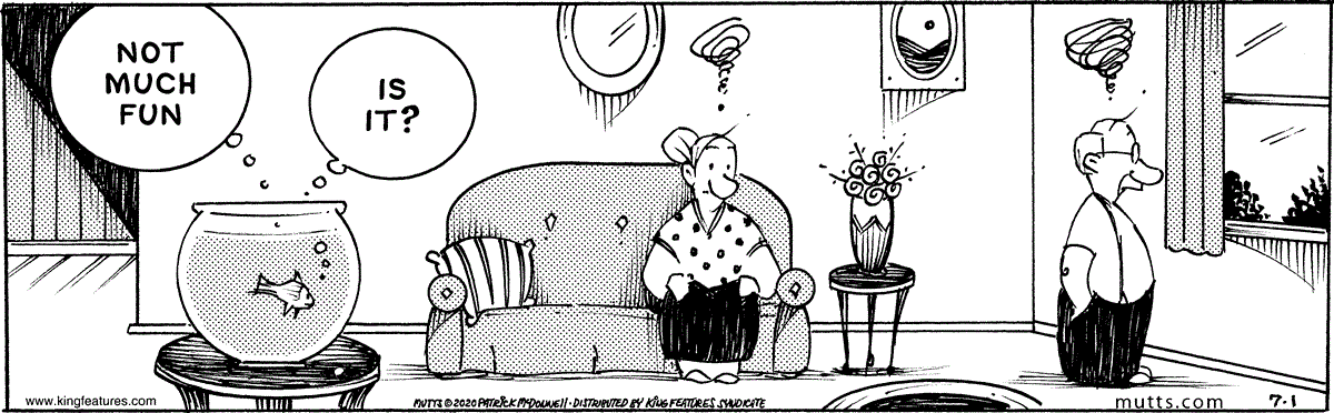 July 2020 comic strips | Mutts Wiki | Fandom