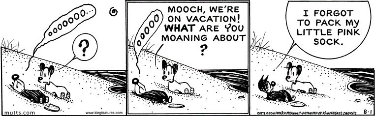 August 2016 comic strips | Mutts Wiki | Fandom