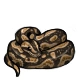Ball Pythons | Mweor Wiki | Fandom