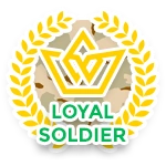 Loyal Soldier | Military Warfare Tycoon Wiki | Fandom