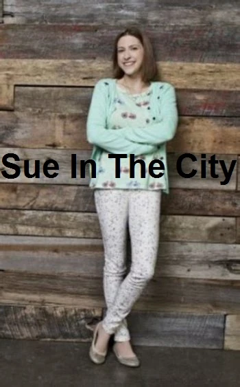 Sue In The City | My ABC Shows Wiki | Fandom
