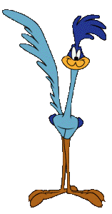 Road Runner | My Cartoons Shows Wiki | Fandom