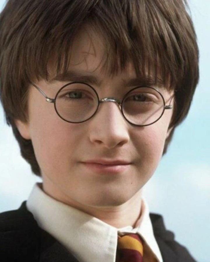 Harry Potter | Wiki My Characters | Fandom