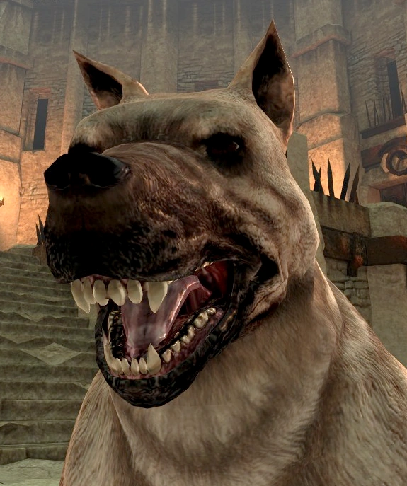 Dog (DA2) | My Dragon Age Canon Worldstate Wiki | Fandom