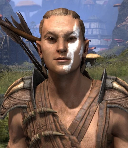 Thoronir | My Elder Scrolls Fanon Wiki | Fandom