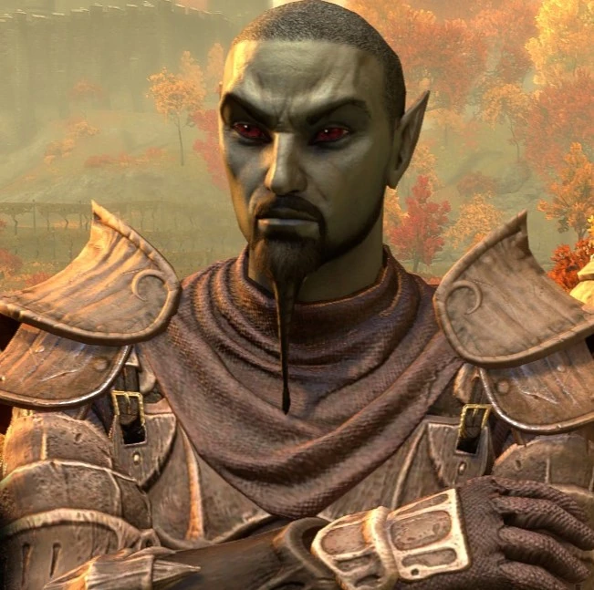 Category:Characters (ESO) | My Elder Scrolls Fanon Wiki | Fandom