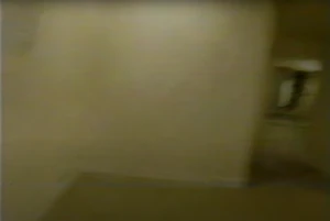 The Bacteria (Backrooms Lore) | My Favourite Villain and Hero Wiki | Fandom