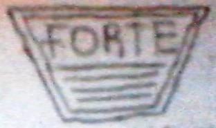 Forte | My Fictional Universe Wiki | Fandom