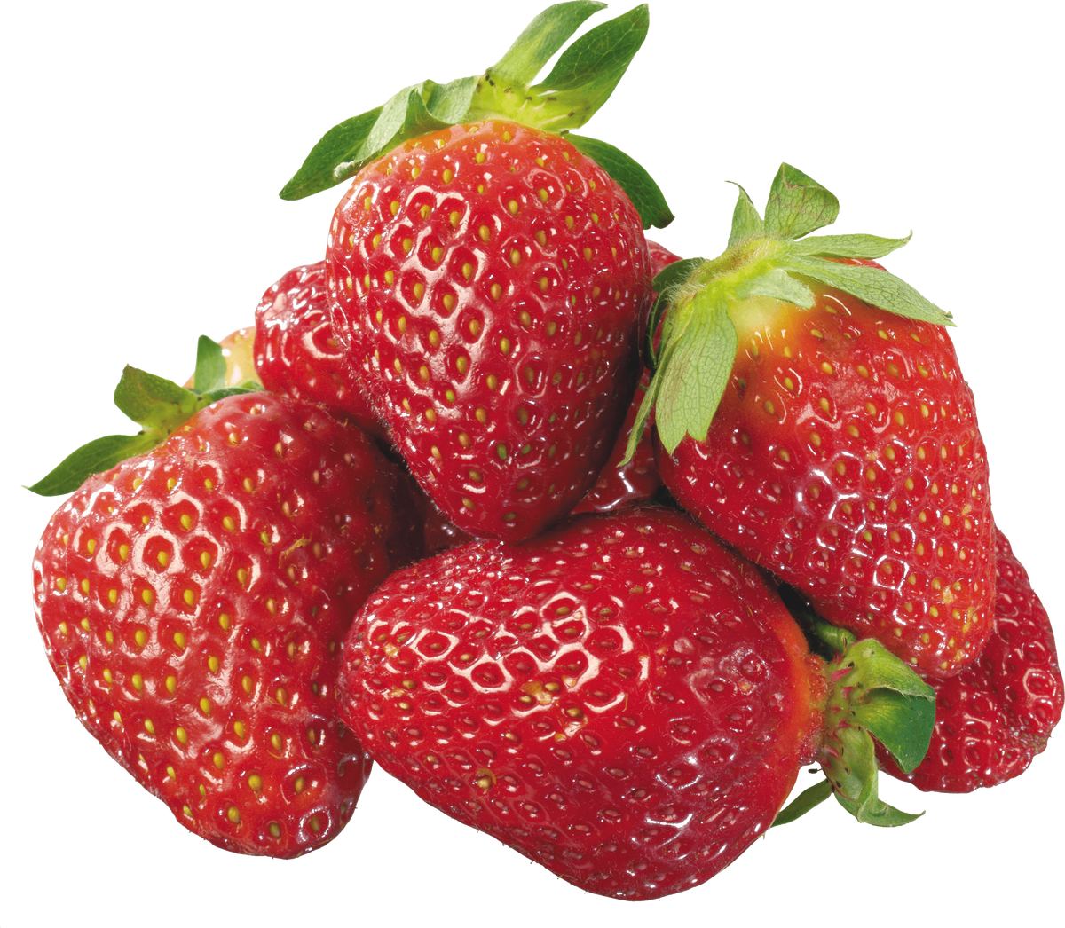 Strawberry My First Encyclopedia Wiki Fandom