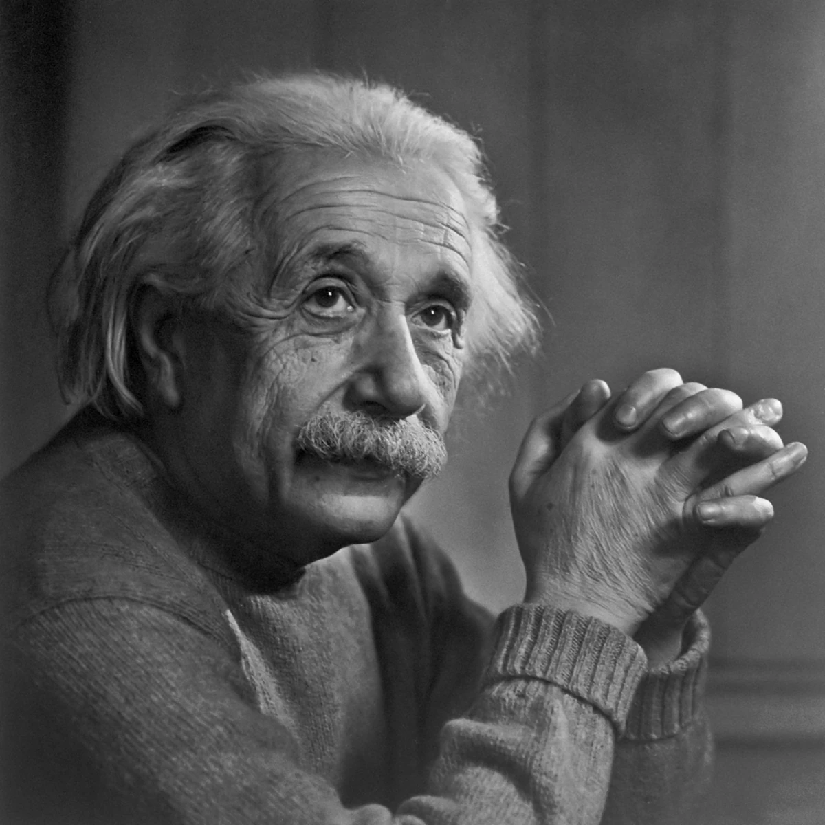 Albert Einstein | My First Encyclopedia Wiki | Fandom