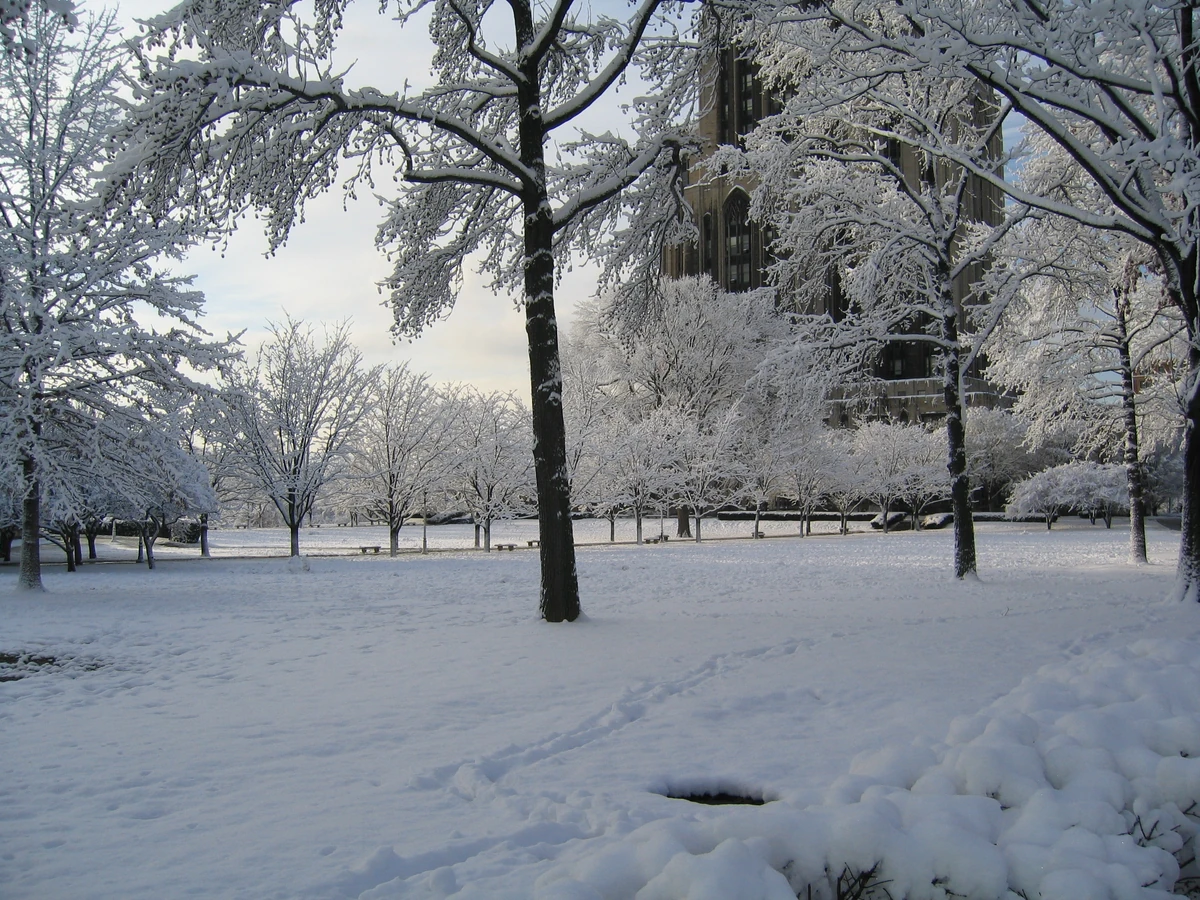 Winter | My First Encyclopedia Wiki | Fandom