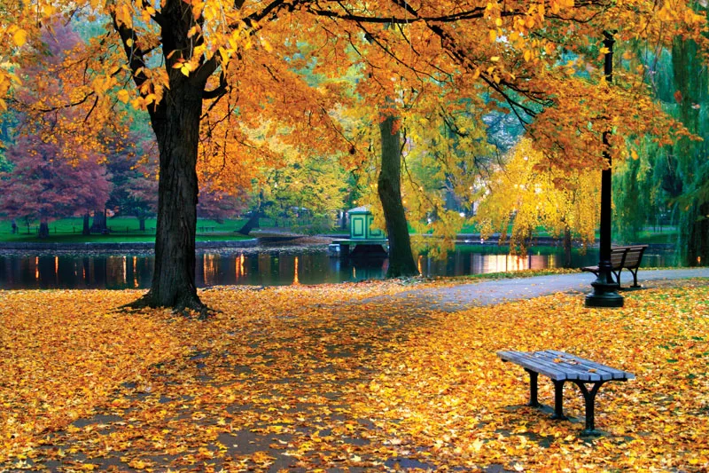 Autumn | My First Encyclopedia Wiki | Fandom