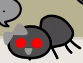 Pumpkin | My ghost friend Wiki | Fandom