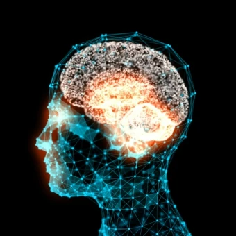 Intellectus | My Hero Academia Fanon Wiki | Fandom