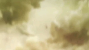 Banshee | My Hero Academia Fanon Wiki | Fandom