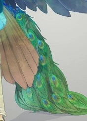 Pavonine | My Hero Academia Fanon Wiki | Fandom