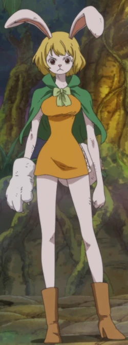 Rabbit form | My Hero Academia Fanon Wiki | Fandom