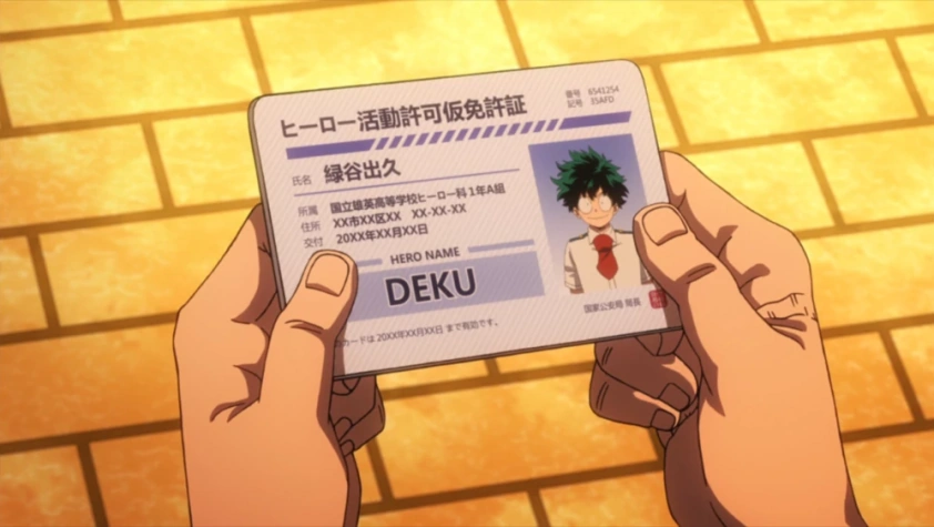 Licensure | My Hero Academia: New York Wiki | Fandom