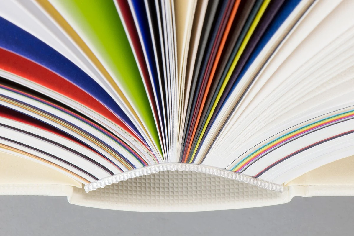 Paper Master | My Hero Academia RP Wiki | Fandom